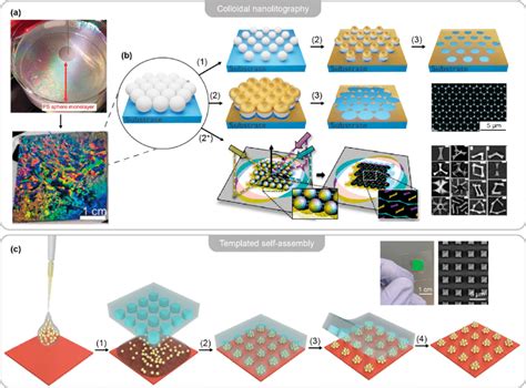 Nanopatterning Approaches Based On Self Assembly A Top Photography
