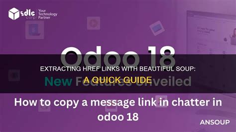 Extracting Href Links With Beautiful Soup A Quick Guide Ansoup