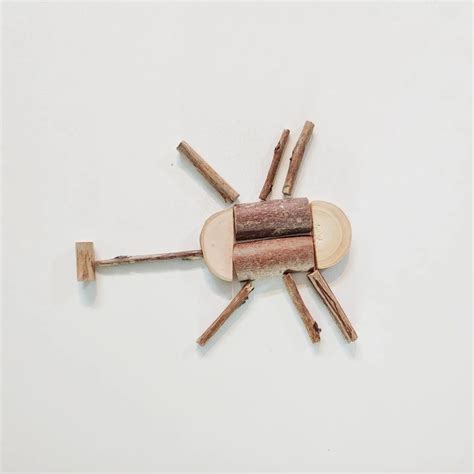 두 친구의 숲놀이엄마표놀이생태놀이놀이도안공유랩북 On Instagram 🐞🦋자연물 곤충만들기 🐜🐝 여러 가지 모양의 나무조각들을 이용해 다양한 곤충을 만들어