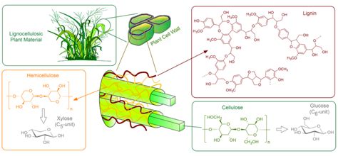 Initial Platform Chemicals IPCs From Lignocellulose Bioeconomy Consultants Innovative Minds