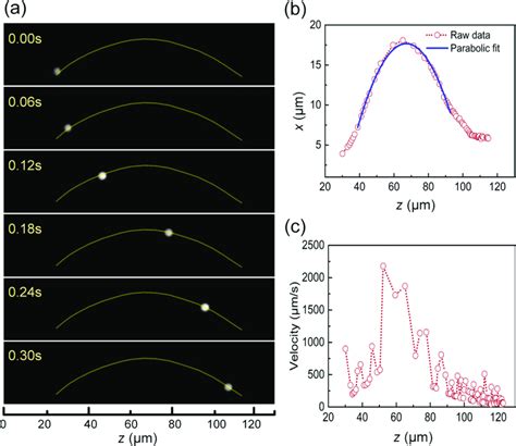Particle Guiding Results Using An Airy Beam With P 6 Pixels A Download Scientific Diagram