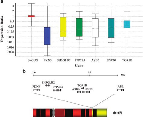 Expression Analysis And Chromosomal Localization Of The Six
