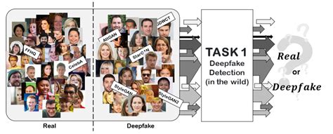 amped s new deepfake detection algorithm