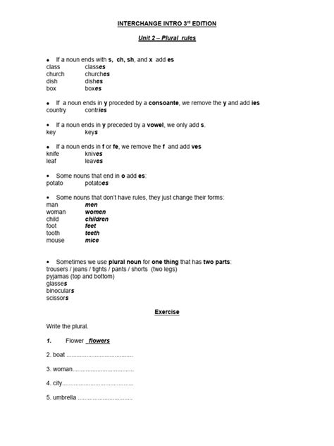Unit2 Plural Rules With Exercise Pdf Foreign Language Studies