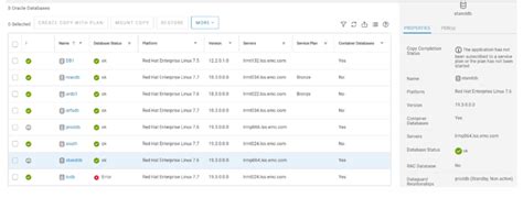 Data Guard Relationship View Dell Appsync Integration With Oracle