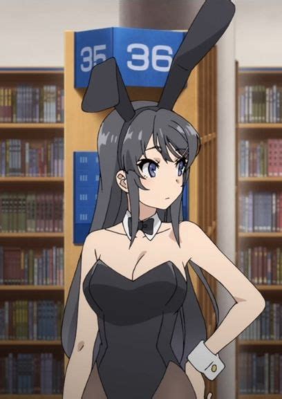 9 Best Bunny Suit Images Bunny Suit Anime Kawaii Anime