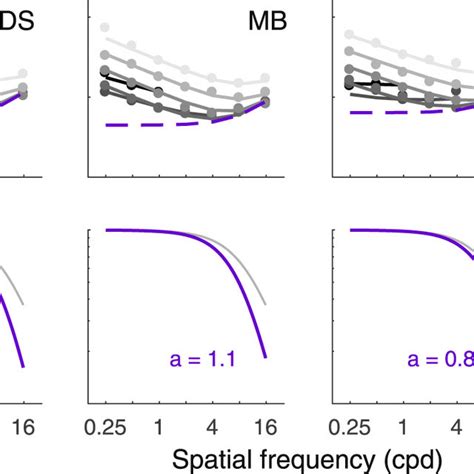 Mtf Estimation The Estimation Of The Equivalent Input Noise At The Download Scientific Diagram