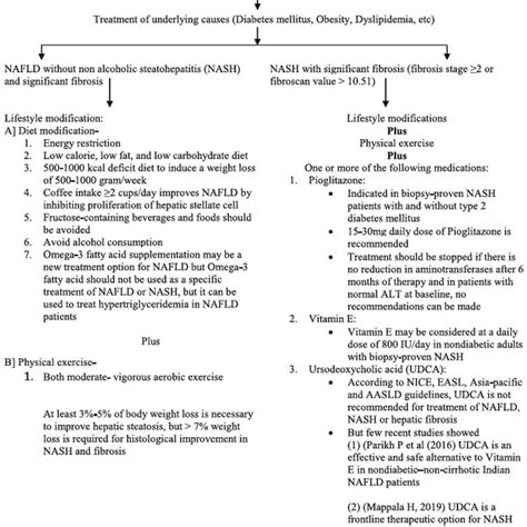 Algorithm Of Lifestyle Modification And Pharmacology In Nafld Patients Download Scientific