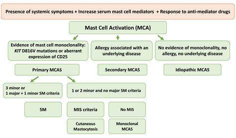 Systemic Mastocytosis And Other Entities Involving Mast Cells A