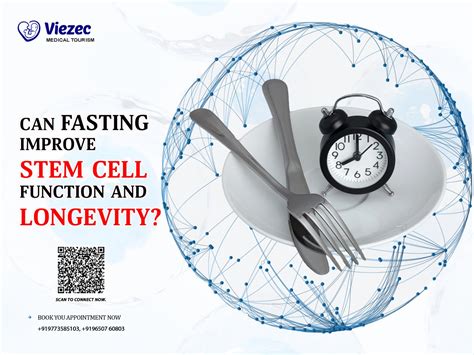 Can Fasting Boost Stem Cell Function And Longevity Naturally