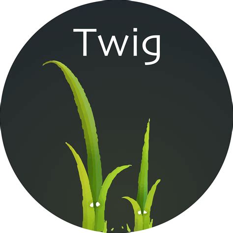 Twig Language Support Visual Studio Marketplace