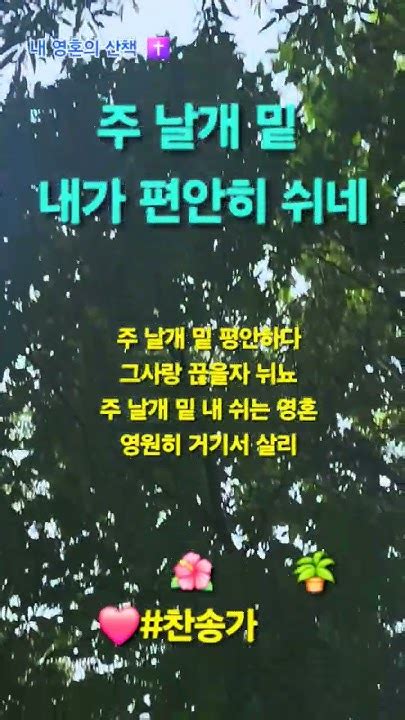 찬송가 주 날개 밑 내가 편안히 쉬네🎵 Youtube