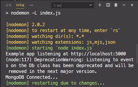8강 Nodemon Restarting Due To Chage 인프런 커뮤니티 질문and답변