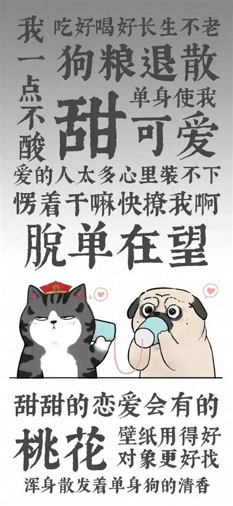 手机高清壁纸若无相欠怎会相见 壁纸 高清 手机