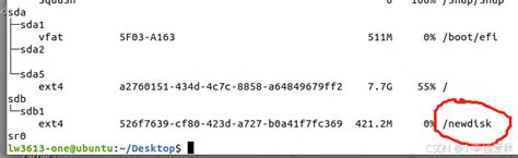 Linux操作系统实验报告单（5）文件系统管理及使用linux磁盘及文件系统管理实验报告 Csdn博客