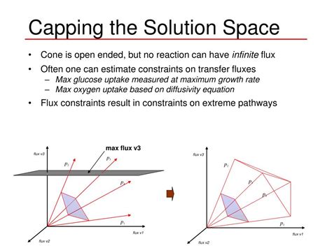 Ppt Introduction To Steady State Metabolic Modeling Powerpoint