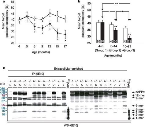A Specific Amyloid β Protein Assembly In The Brain Impairs Memory