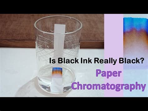 Ink Chromatography Lab Results Paper Chromatography Is Black Ink