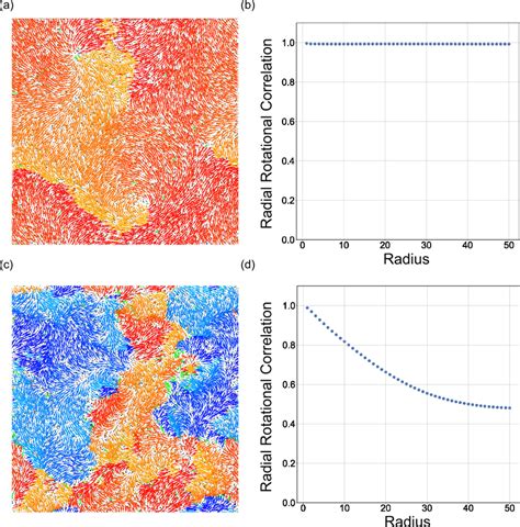 Radial Rotational Correlations Visualising And Quantifying The Range Of Download Scientific