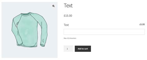 How To Add A Text Field To A Woocommerce Product Page