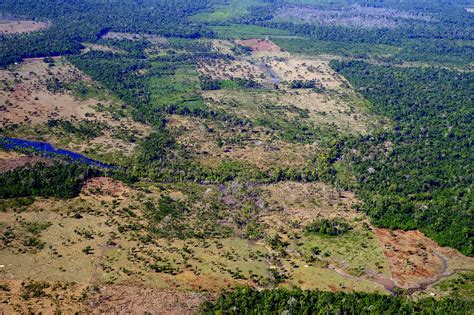 Mapbiomas Matopiba Passa Amazônia E Lidera Desmatamento No Brasil