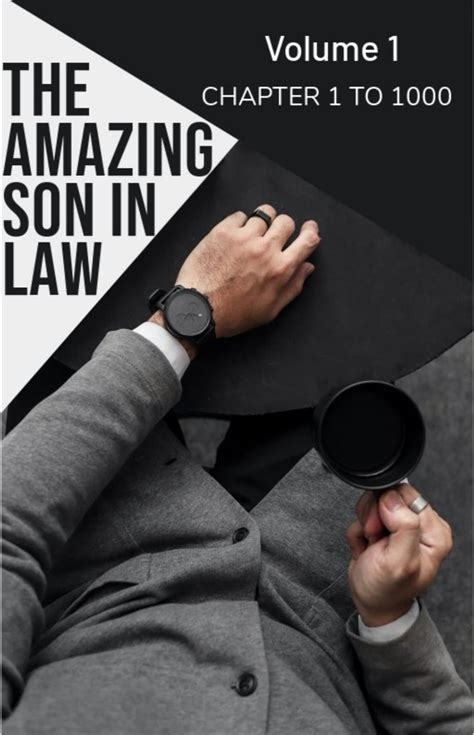 The Amazing Son In Law Volume 1 Chapter 1 To 1000 By Katherine Baca