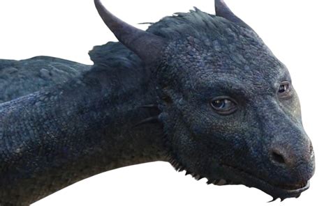 Saphira By Dracoawesomeness On Deviantart