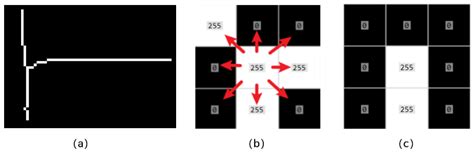Ijgi Free Full Text Extracting Skeleton Lines From Building