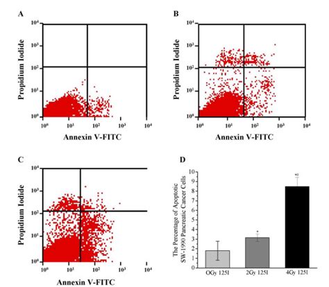 Apoptosis Of 125i Irradiated Sw 1990 Cells The Red Region In The Lower