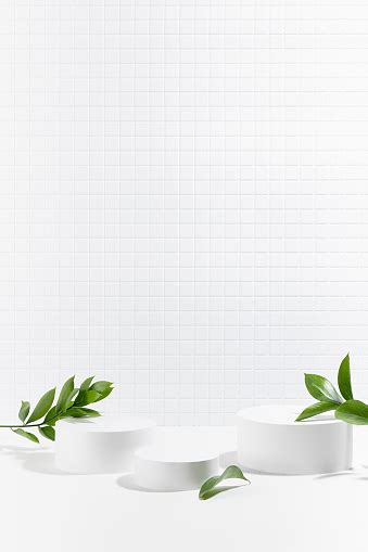 여름 추상적인 흰색 무대 프리젠테이션 화장품 광고 디자인 작은 모자이크 타일 햇빛 그림자 수직에 신선한 열대 녹색 잎을 위한 3개의 실린더 연단 모형 3가지 개체에 대한