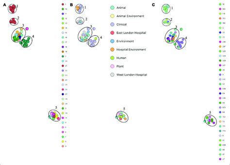 Poppunk T Sne Analyses Of Accessory Genomes Of 90 S Epidermidis Download Scientific Diagram