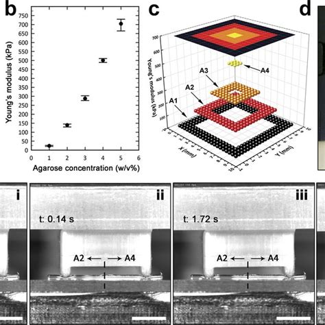 Next Generation Flexible Electronics Systems And The Key Download Scientific Diagram
