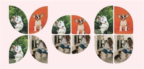 Image Design Elements Elementor Template Dmmotionarts