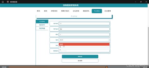 基于ssmvue宠物医院管理系统开题报告程序论文java Csdn博客