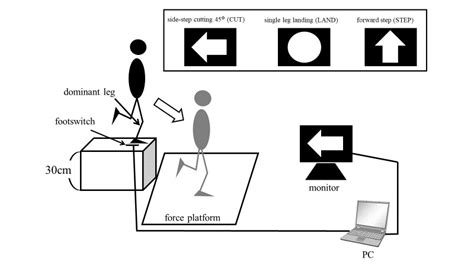 Kinematics Kinetics And Muscle Activity Analysis During Single Leg Drop Jump Landing Followed