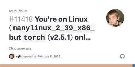 Youre On Linux `manylinux239x8664` But `torch` V251 Only