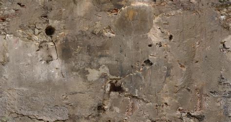 Shell Texture Modelling Texturing Rendering Animation Tutorial