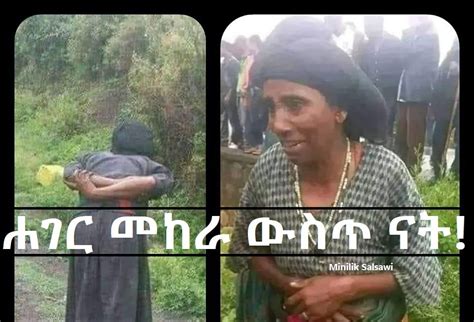 የአማራ ማህበር በአሜሪካ በኦሮሚያ ልዩ ኃይል፣ በኦነግ ሸኔ እና በአካባቢው ቄሮዎች በግፍ የተገደሉ አማራዎችን ዝርዝር አስታወቀ።