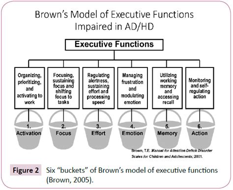 Executive Function Development Chart