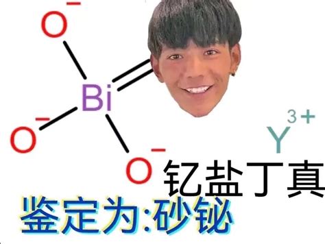 丁真表情包大赏 清北博客