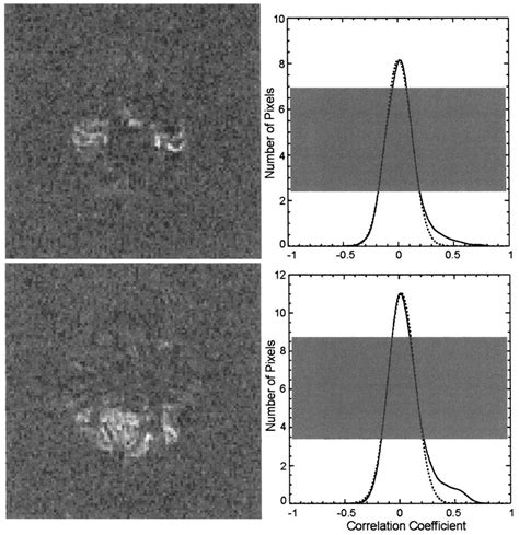 Correlation Images Left And Corresponding Histograms Of Correlation