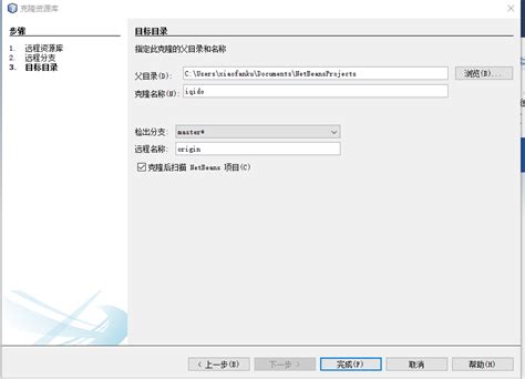 使用netbeans访问csdn code项目 csdn上下载的代码怎么在netbeans打开 csdn博客