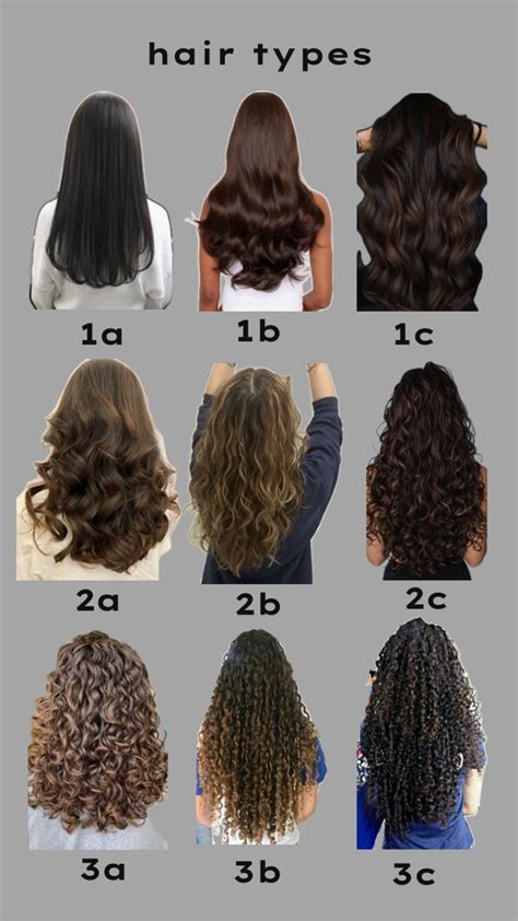 Curl Types Types Of Curly Hair Chart Luxy® Hair Types Of Curls Hair Chart Hair Patterns