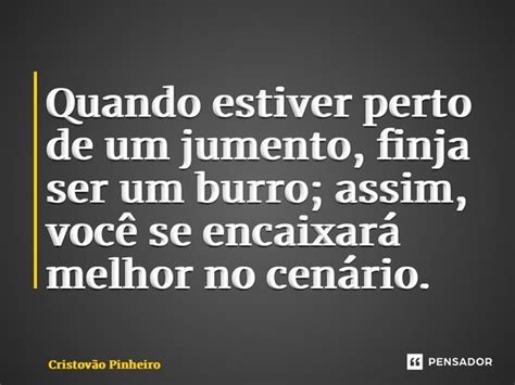 ⁠quando Estiver Perto De Um Jumento Cristovão Pinheiro Pensador