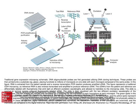 Traditional Gene Expression Microarray Schematic Ppt Download