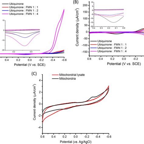Scheme 1 Mitochondrial Riboflavin Cycle In Normal State Small Figure