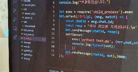 알맞은 고수의 프로그래밍 코딩 레슨 서비스 부산 동래구 숨고 숨은고수