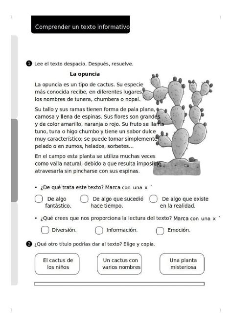 Comprensión Lectora Texto Informativo Worksheet