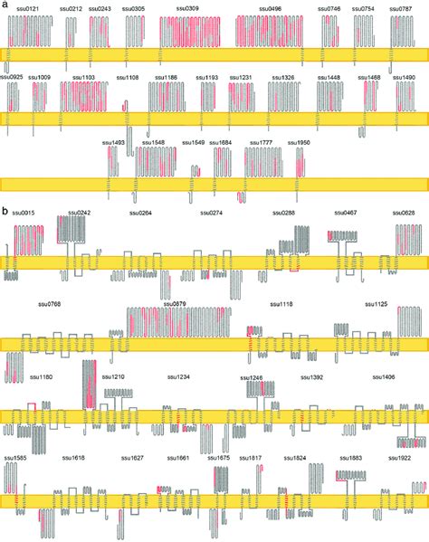 Topological Representation Of The Identified Membrane Proteins In The