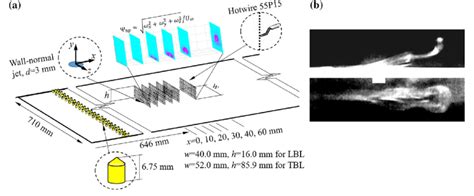 A Basic Setup Illustrating The Location Of The Jet And Hotwire Download Scientific Diagram